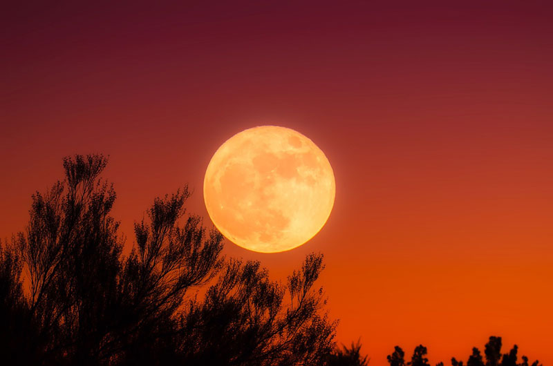 Don’t Miss Next Week’s Beautiful Full Moon - Volunteer Vacations Blog